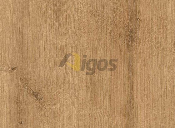 DTDL Dub Hamilton H3303 ST10 18mm | AIGOS, s.r.o.